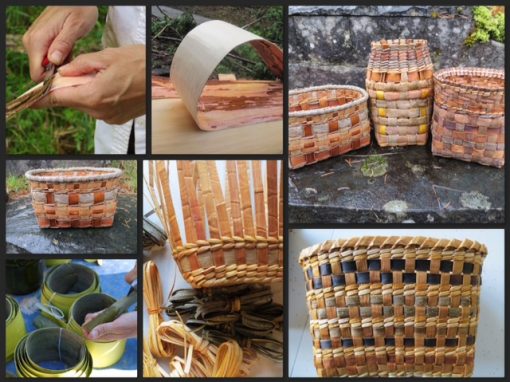 Bark Basketry 2-day workshop | Joan Carrigan
